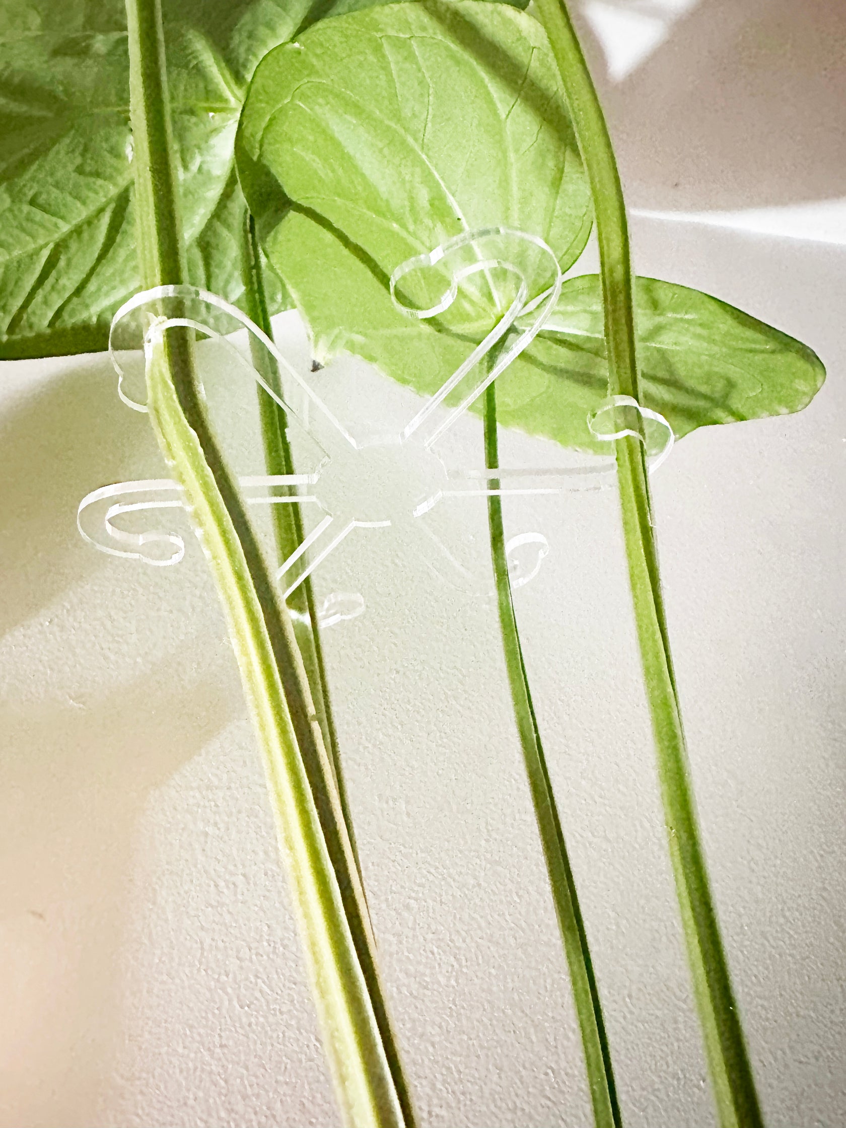 Stem Supports – Maddwoods