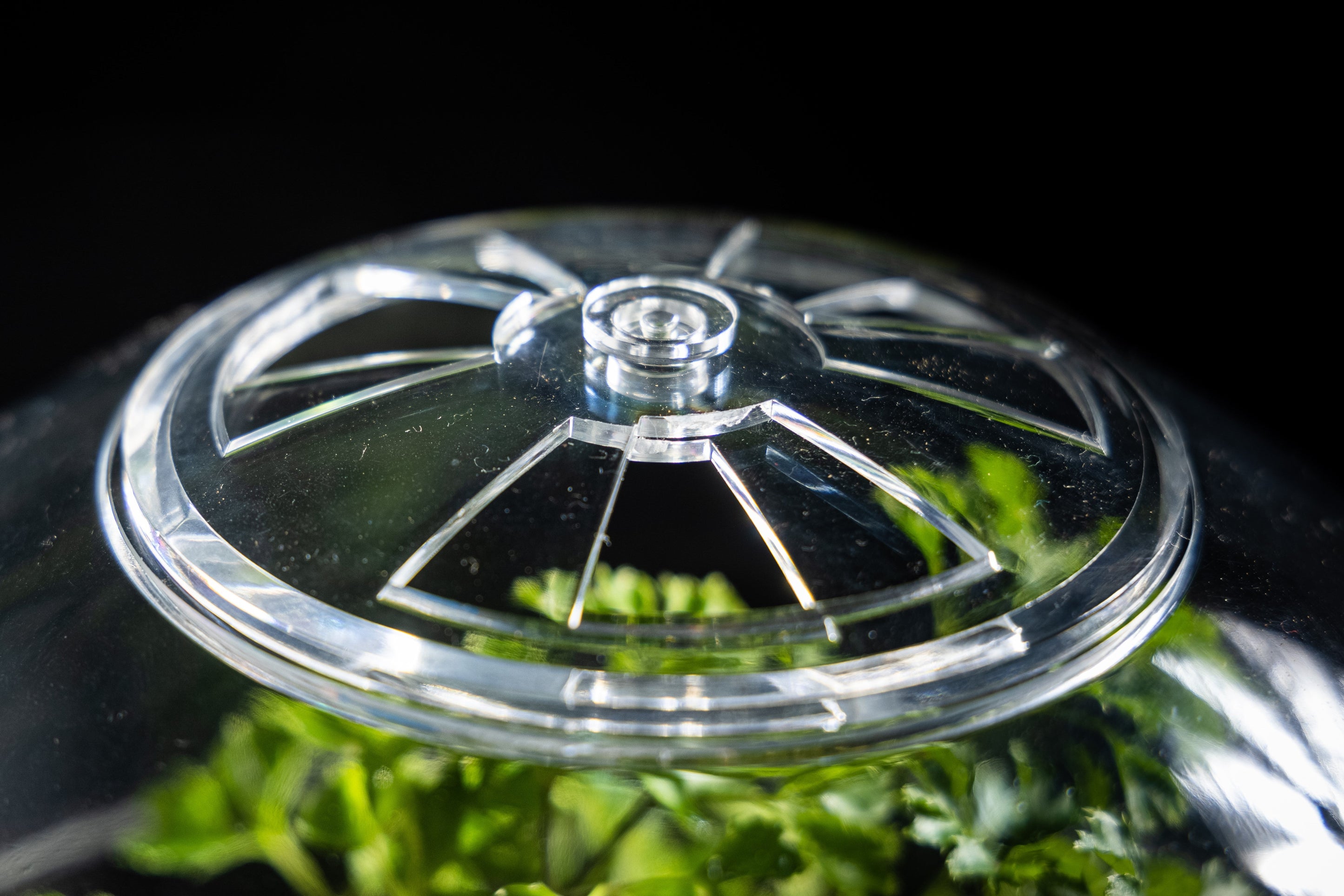 Atomic Space Age Terrarium – Maddwoods