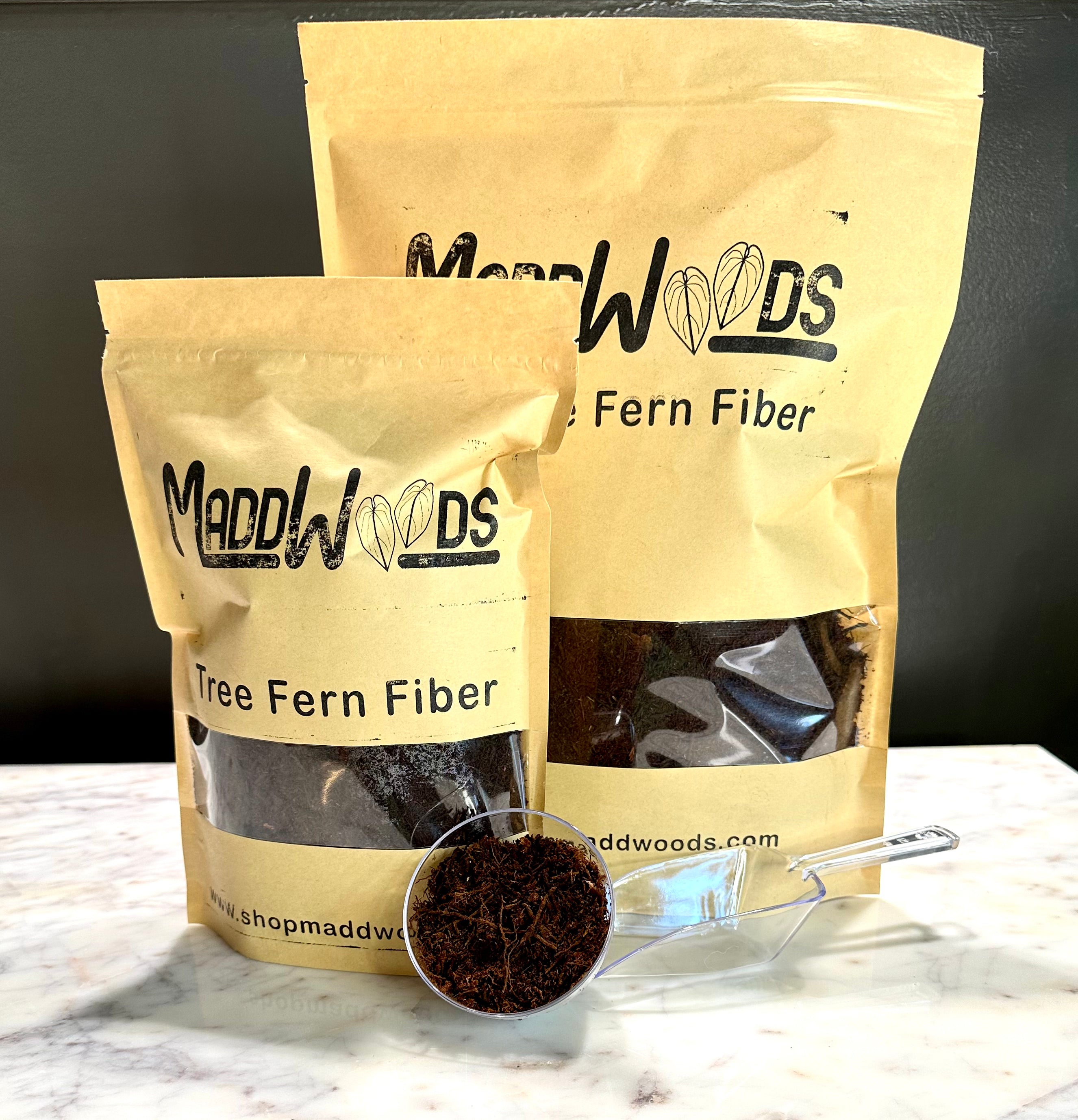 Tree Fern Fiber – Maddwoods